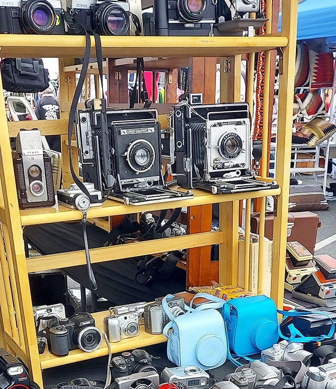 Time machines don't need flux capacitors—just look at this collection of vintage cameras, each one holding decades of memories and technological craftsmanship within their mechanical hearts.