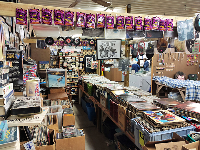 Vinyl heaven awaits music lovers with rows upon rows of albums. That Led Zeppelin poster isn't just decoration—it's a beacon calling to fellow rock enthusiasts.