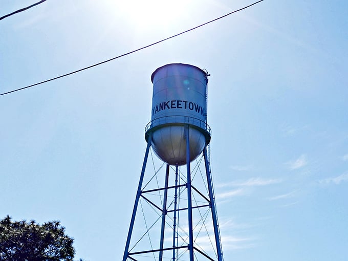Standing tall against the Florida sky, Yankeetown's water tower serves as both landmark and local celebrity – the town's equivalent of the Hollywood sign.