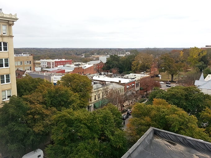 Tree-lined streets in Athens blend college town energy with Southern charm that never gets old.