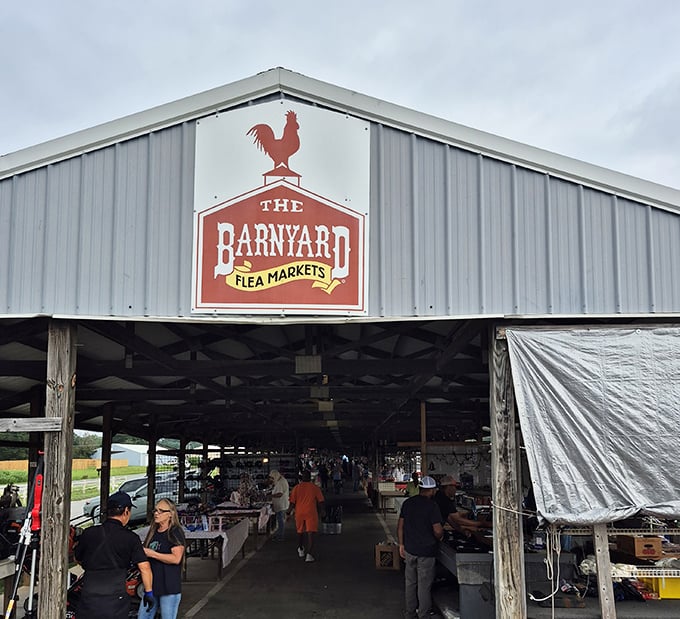 The Barnyard Flea Market's iconic rooster sign welcomes deal-seekers. No actual barnyard animals here—unless you count the shoppers hunting like foxes!