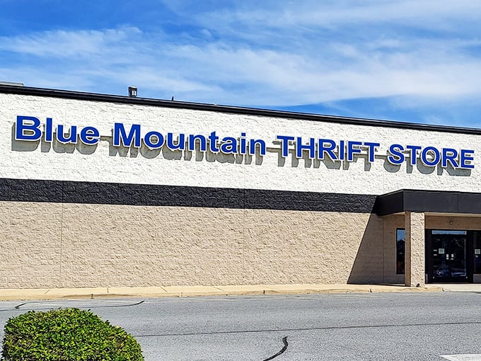 Blue Mountain's clean facade whispers "organized treasures await" - the kind of place where hunting feels civilized.
