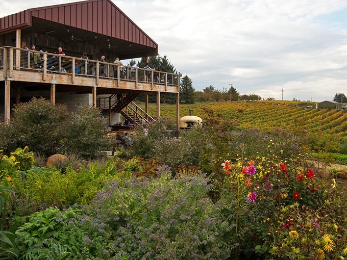 Modern winery architecture meets rustic charm where wildflowers dance alongside perfectly manicured grapevines.