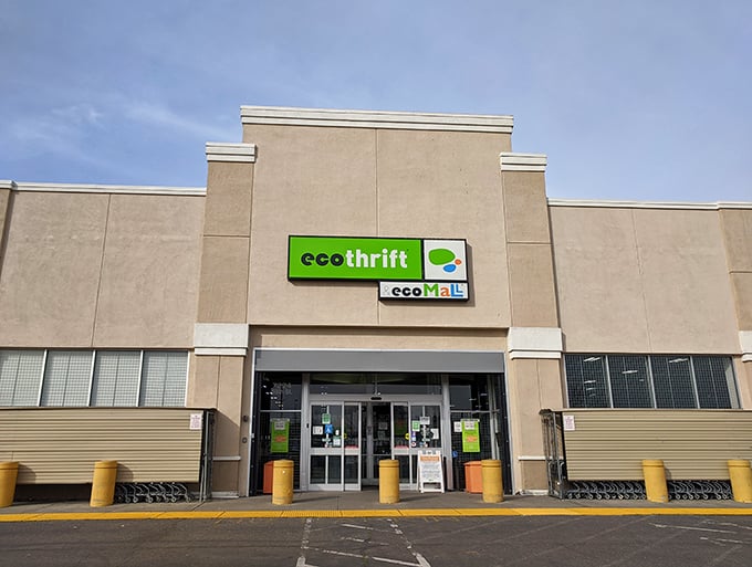 Eco Thrift's modern facade promises organized chaos inside—the good kind that leads to amazing finds.