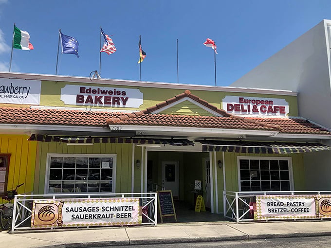 Those international flags aren't just for show - they're announcing a United Nations of delicious pastries under one roof.