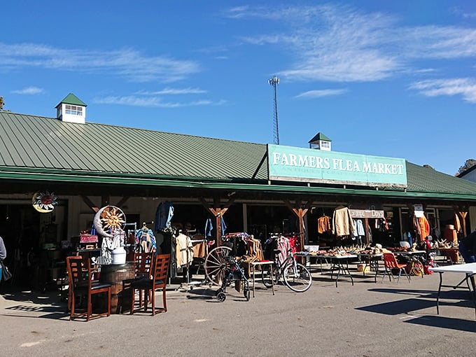 Country charm meets bargain hunting under this welcoming green roof where rustic treasures await discovery.