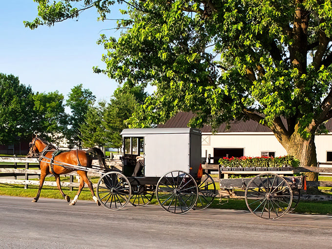 This Amish buggy glides through Intercourse with the quiet dignity of a Sunday morning stroll.