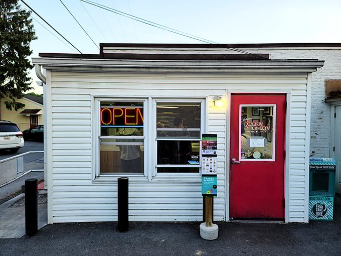 That little red door might as well be the wardrobe to Narnia – except instead of a lion, you'll find pillowy donuts worth the journey.
