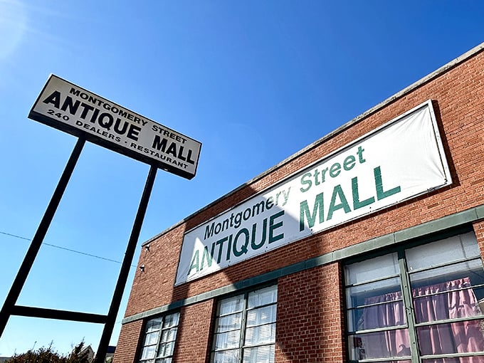 Montgomery Street's vintage signs beckon like old friends - "Come in, we've got stories to tell!"