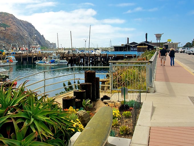 Those fishing boats know exactly where to find the good stuff hiding beneath these calm waters.