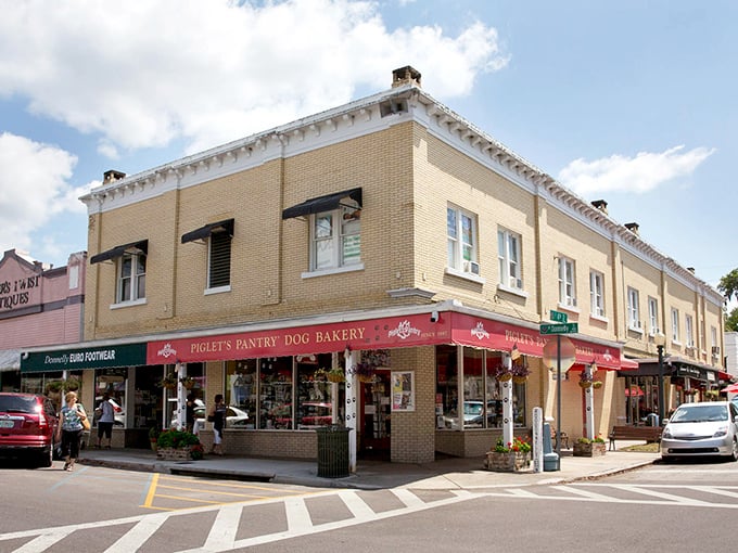Pampered pooches living their best lives! Mt. Dora's pet bakery proves even Fido deserves the "treat yourself" philosophy we humans perfected.