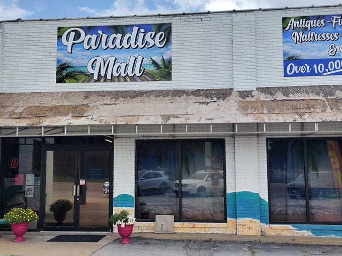 Behind this tropical-themed façade lies 10,000 square feet of "I didn't know I needed that!" Paradise Mall delivers on its name for dedicated bargain hunters.