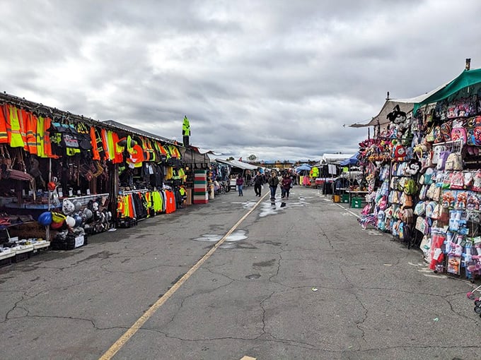 The covered pavilions buzz with activity as shoppers explore endless aisles of everything from tools to treasures.