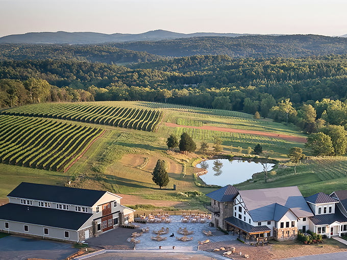 Stone Tower's vineyards roll out like nature's welcome mat, inviting you to kick back with a glass and forget about your inbox.