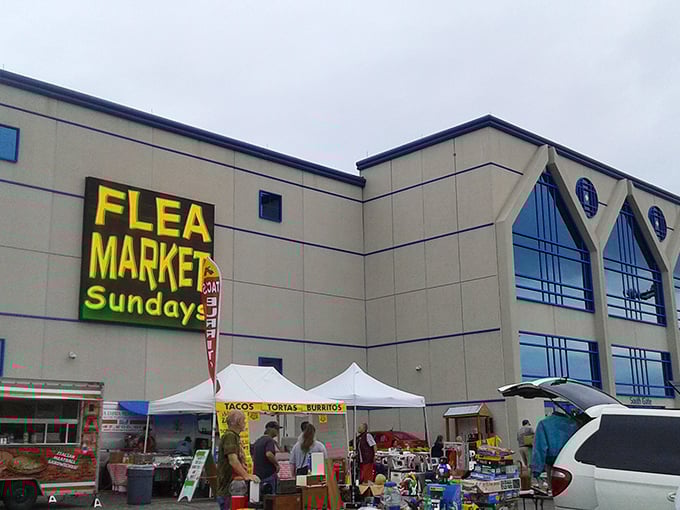 "Flea Market Sundays" light up the Rosemont skyline. This outdoor bazaar transforms an ordinary parking lot into a bargain hunter's paradise.