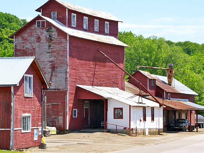 Rural Ohio architecture at its finest - where red barns and silver silos create poetry against endless sky.