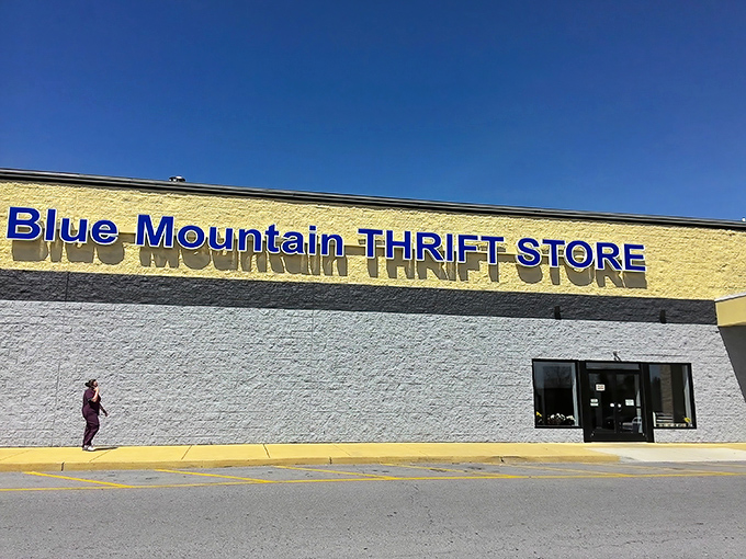 Sunlight gleams off Blue Mountain's façade, beckoning thrift enthusiasts. Inside, someone's discarded lamp is about to become your living room's conversation piece.