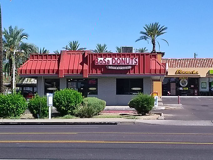 Palm trees and donuts – the perfect Arizona morning combo that beats any fancy brunch spot downtown.
