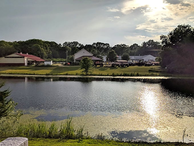Golden hour magic dances across Canterbury's farm pond – proof that million-dollar views come with small-town price tags that won't drain your retirement fund.
