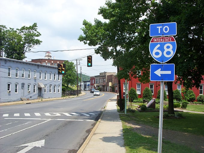 Take a left, and suddenly you’re on the road to adventure—proof that even traffic lights can point toward possibility.