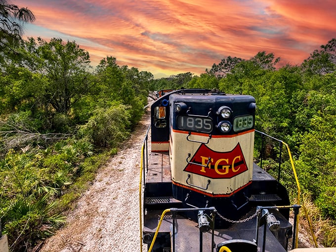 This restored locomotive whispers stories of bygone eras while carrying modern adventurers through scenic landscapes.