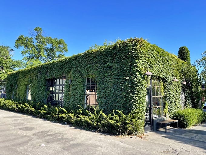 Nature's green curtain frames windows like a fairy tale, promising coffee dreams come true.