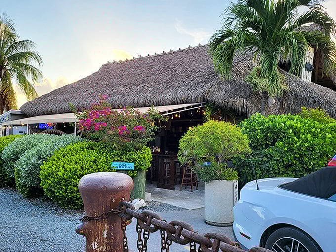 The kind of place Jimmy Buffett would write songs about – rustic, real, and serving seafood that'll make you consider moving to the Keys.