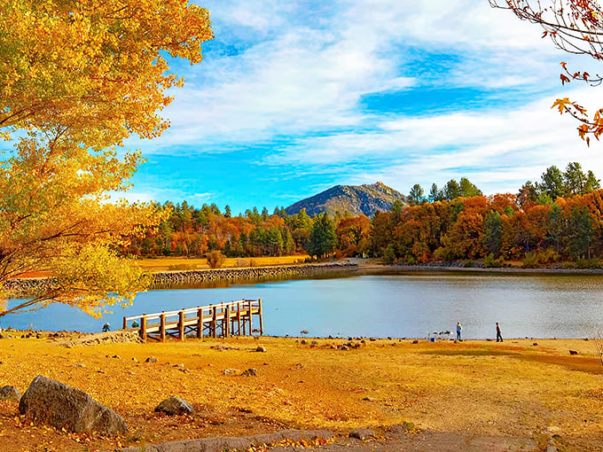 Rolling hills cradle this apple country gem where autumn paints the landscape in perfect harmony.