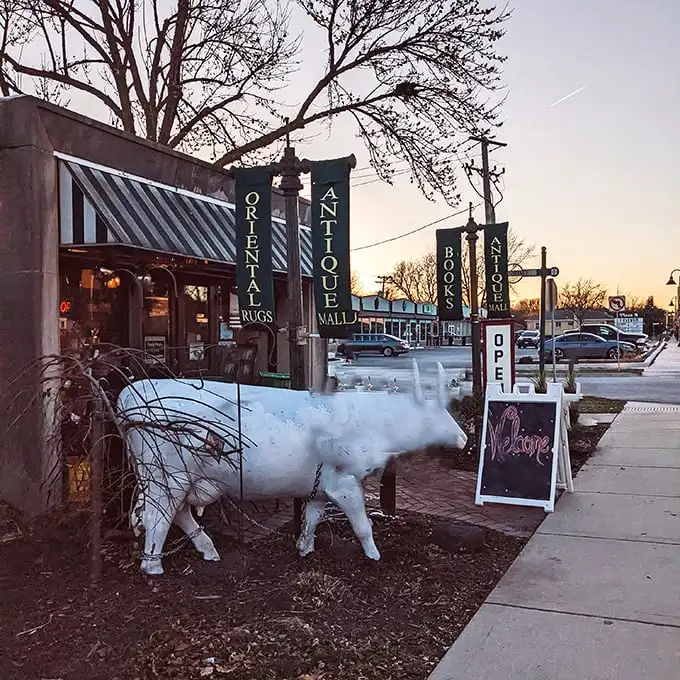 Dusk settles over the antique mall's entrance, where that white decorative cow seems to say, "Come browse awhile!"