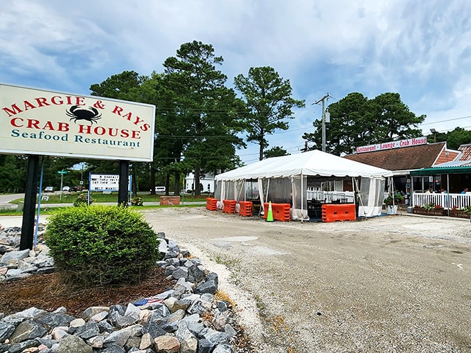 The sign says "Crab House" in bold letters, and boy, do they deliver. This humble spot has been making seafood memories since before Instagram existed.