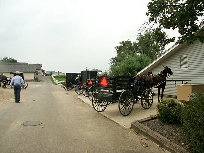 Horse-drawn equipment still gets the job done in these peaceful Amish communities.