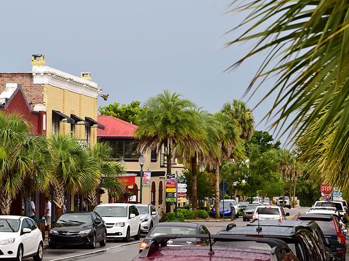 Palm trees standing guard over Mt. Dora's charming streets like nature's own concierge service—"Welcome to paradise, how may we shade you?"