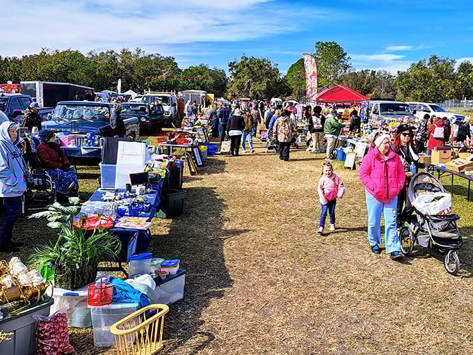 Blue skies and bargains as far as the eye can see. Webster's outdoor market brings together collectors, browsers, and deal-seekers.