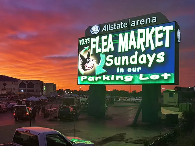 Sunrise, deals, and unique finds await! Come to Wolff's Flea Market at Allstate Arena for a day of fun.