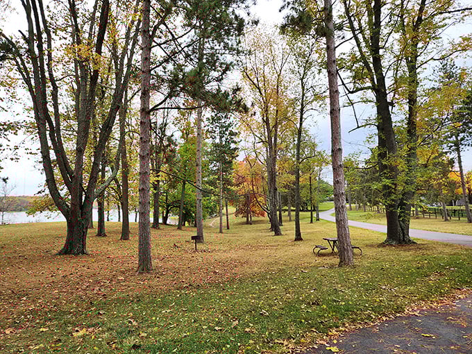 Fall foliage frames walking paths at A.W. Marion State Park, where retirement means having time to notice nature's subtle seasonal symphony.
