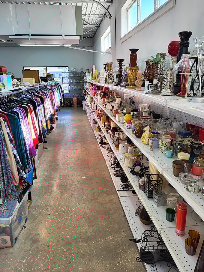 The perfect thrift store aisle doesn't exi— Oh wait, here it is! Clothing on one side, household treasures on the other, possibilities everywhere.