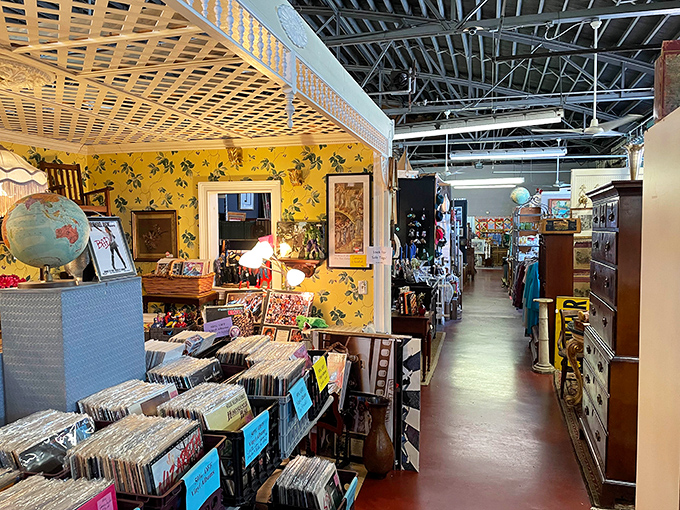 Vinyl records, vintage wallpaper, and treasures as far as the eye can see. This aisle alone could keep you happily lost for hours.