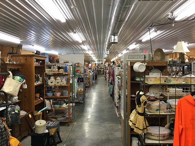 Long, inviting aisles that seem to stretch into infinity, each one promising discoveries that could make your day—or complete a collection decades in the making.