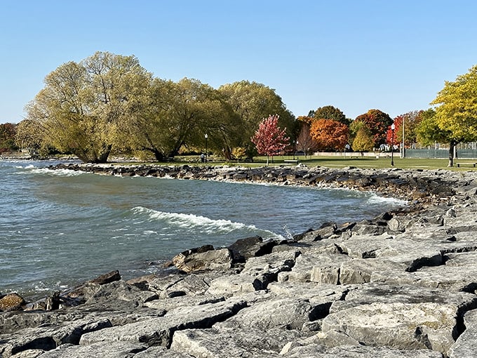 Bay View Park offers a front-row seat to Lake Huron's moods – from gentle lapping waves to dramatic whitecaps – all without the admission price of coastal tourist traps.