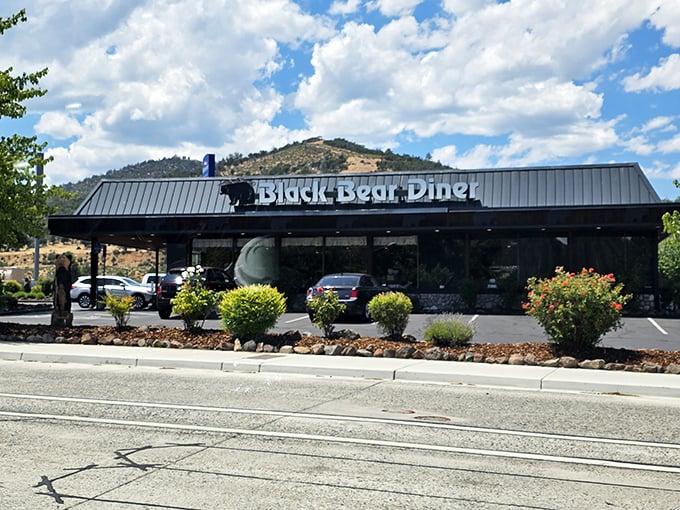 The Black Bear Diner isn't just a restaurant; it's practically Yreka's community center with pancakes. Those mountains in the background aren't bad company either.