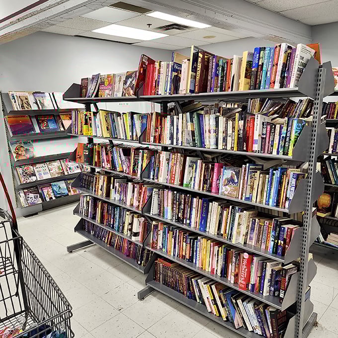 Books stacked higher than my to-be-read pile at home. In this literary treasure trove, someone's discarded airport novel becomes your next beach read.
