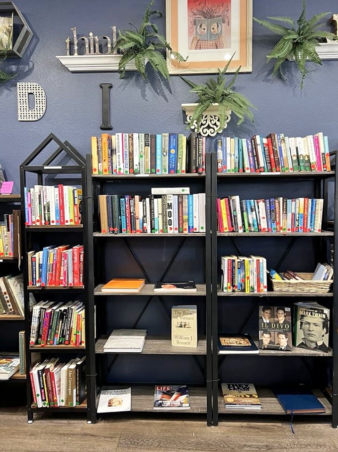 The book section: where literary dreams and budget realities live in perfect harmony. That blue wall backdrop makes browsing feel like you're in an indie bookstore, not a thrift shop.