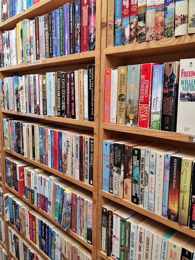 Wall-to-wall literary treasures organized better than most bookstores, waiting for their next chapter with you.