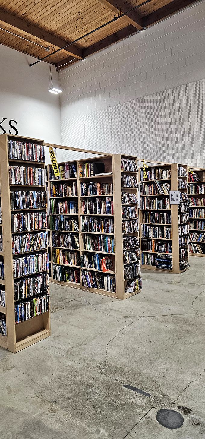 These towering bookshelves hold more stories than your neighborhood librarian could read in three lifetimes.