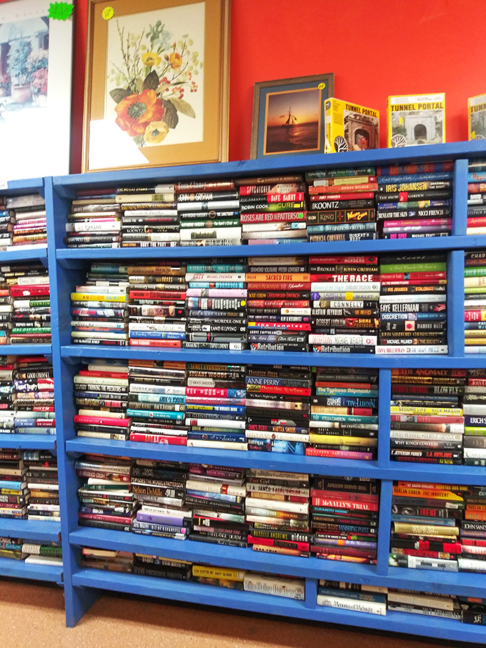Bibliophiles, rejoice! These blue shelves hold literary journeys at pocket-change prices, from bestselling thrillers to forgotten classics.
