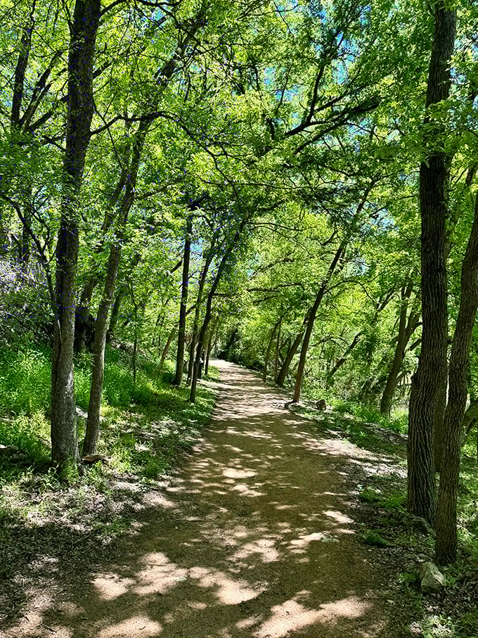 Nature's cathedral awaits on Georgetown's trails, where dappled sunlight plays through the trees and the only deadline is sunset.