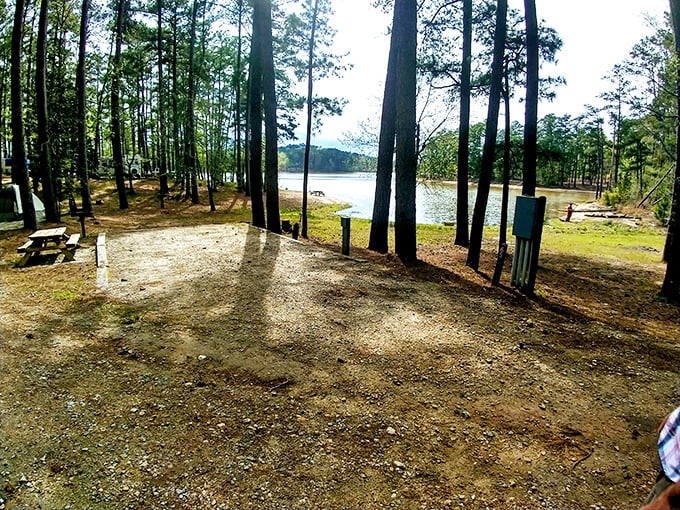 Your campsite neighbors here are pine trees and lake breezes – the kind of roommates who never hog the remote.