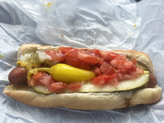 The Chicago Dog in all its fresh-topped glory. That pickle spear isn't just a garnish—it's making a statement about your excellent life choices.