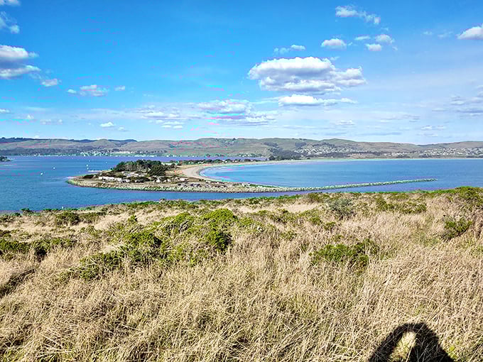 Where land meets water meets sky – Bodega Bay's natural breakwater creates a sanctuary for both boats and beachgoers seeking refuge from the open ocean.