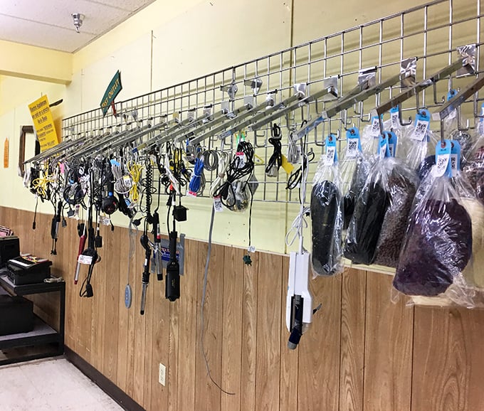 The accessories wall – where yesterday's sunglasses and tomorrow's vintage statement pieces hang in patient anticipation.